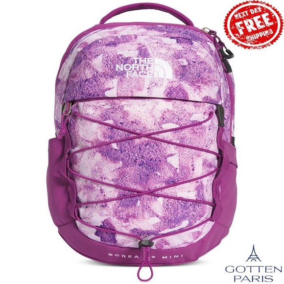The North Face | Bags | The North Face Womens Borealis Mini Backpack ...